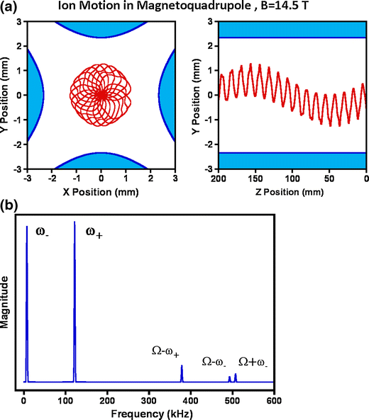 Excitation of Radial Ion Motion in an rf-Only Multipole Ion Guide ...