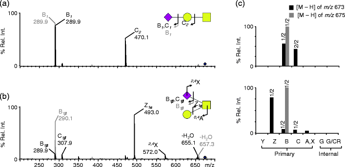 Negative Ion CID Fragmentation of O-linked Oligosaccharide Aldoses ...