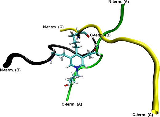 Fingerprinting Desmosine-Containing Elastin Peptides | SpringerLink