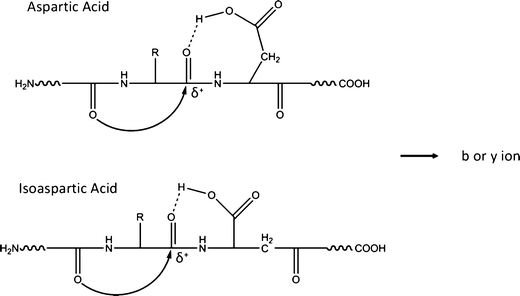 Distinguishing Aspartic and Isoaspartic Acids in Peptides by Several ...