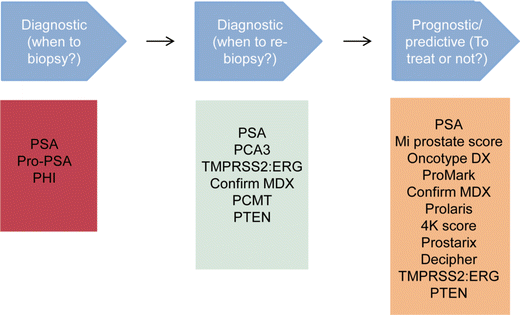 PSA and beyond: alternative prostate cancer biomarkers | SpringerLink