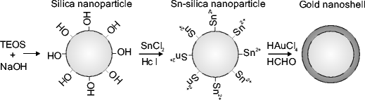 Synthesis of silica-core gold nanoshells and some modifications ...