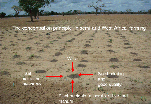 Precision farming for increased land and labour productivity in semi ...