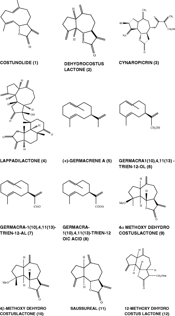 Saussurea lappa (Kuth root): review of its traditional uses ...