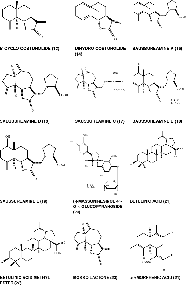 Saussurea lappa (Kuth root): review of its traditional uses ...