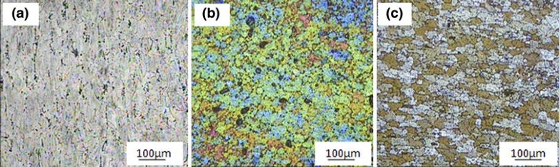 A New Metallographic Technique for Revealing Grain Boundaries in ...