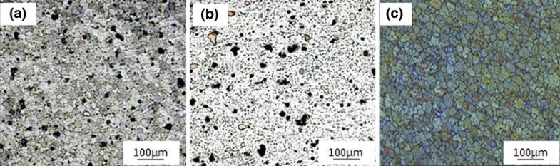 A New Metallographic Technique for Revealing Grain Boundaries in ...