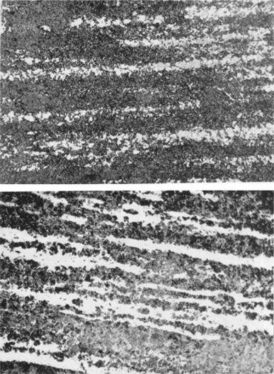 The Structure and Rate of Formation of Pearlite | SpringerLink