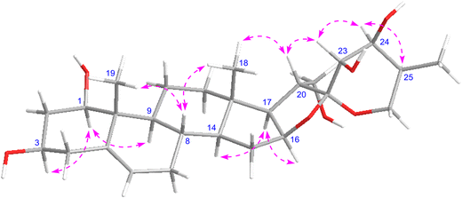 Two New Highly Oxygenated Spirostanol Saponins from Paris polyphylla ...