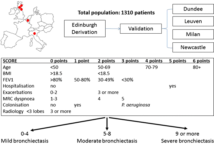 Bronchiectasis in adults: epidemiology, assessment of severity and ...
