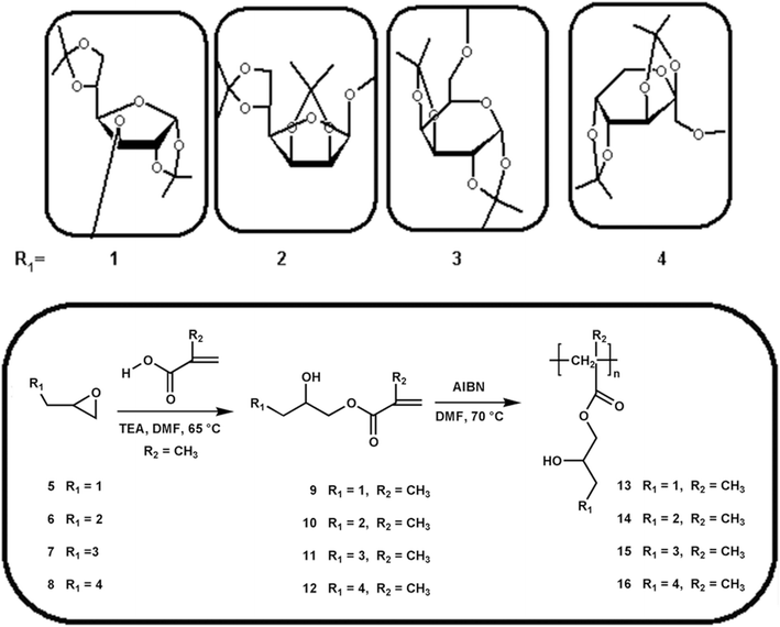 Synthesis, characterization and polymerization of novel sugars based on ...