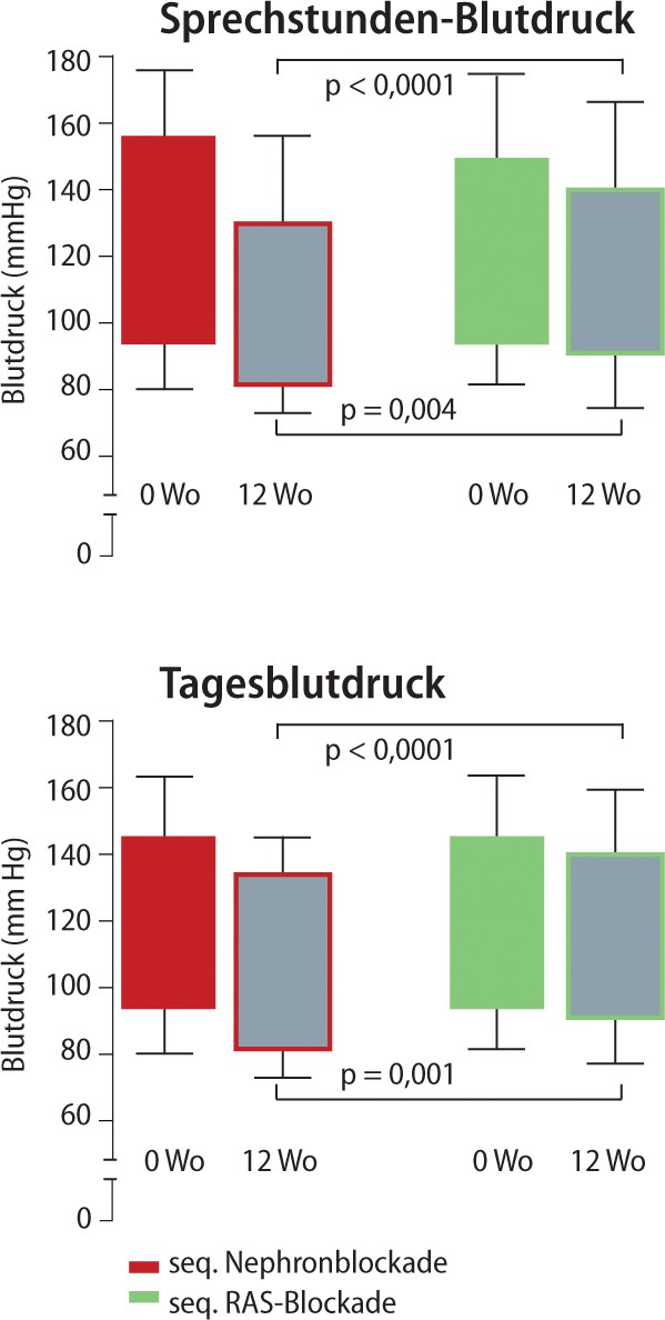 Sequenzielle Nephronblockade oder doppelte RAS-Blockade? | SpringerLink
