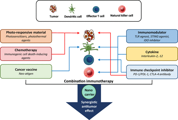 Nano Delivery Systems And Cancer Immunotherapy Springerlink