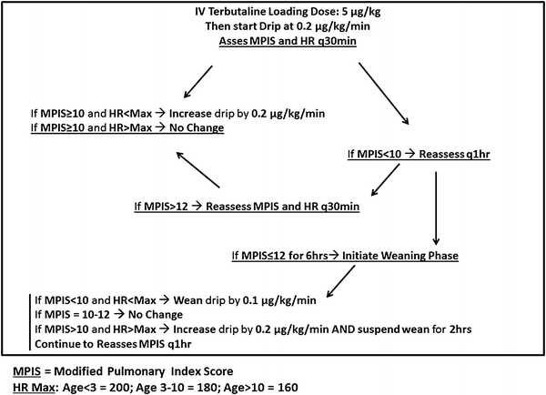 Management of Status Asthmaticus | SpringerLink