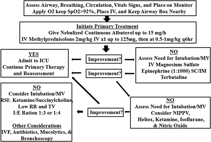 Management of Status Asthmaticus | SpringerLink