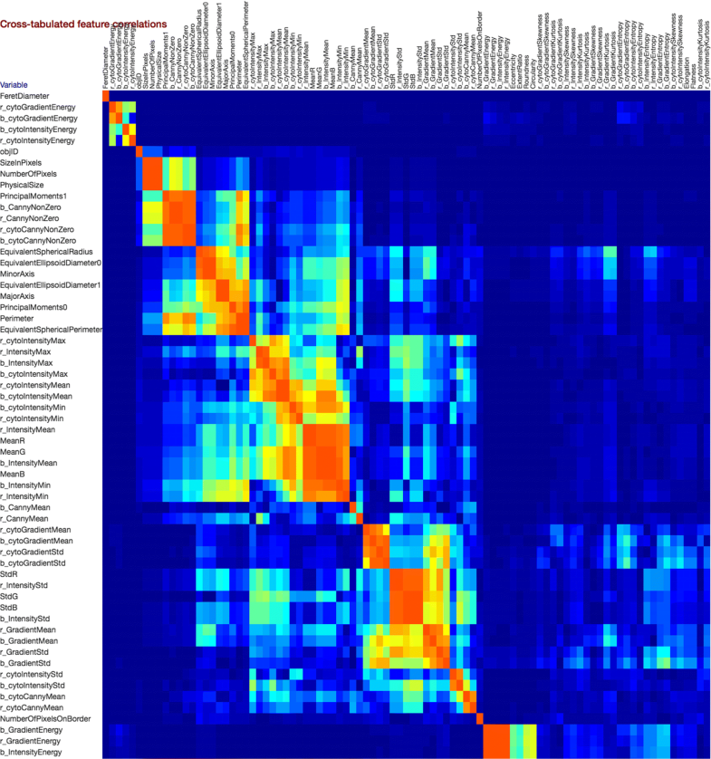 The Emergence of Pathomics | SpringerLink