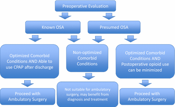 Preoperative Optimization of Patients Undergoing Ambulatory Surgery ...