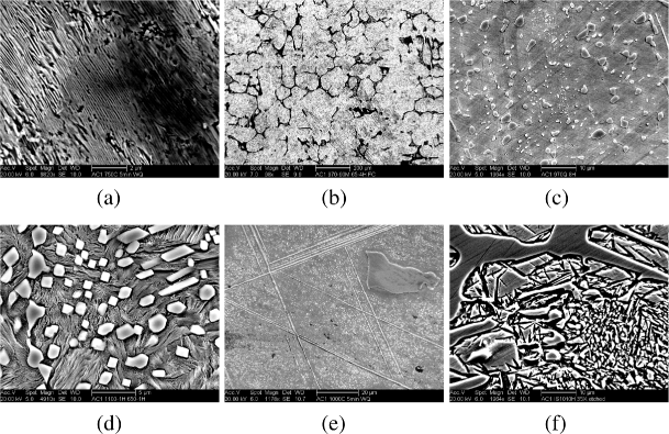 UHCSDB: UltraHigh Carbon Steel Micrograph DataBase | SpringerLink