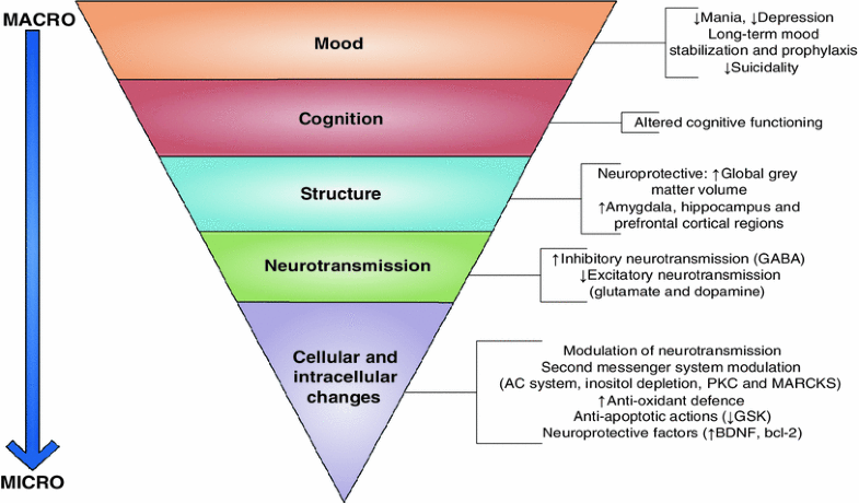 Potential Mechanisms of Action of Lithium in Bipolar Disorder ...