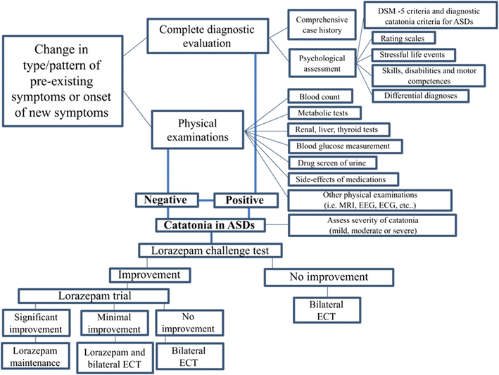 Catatonia in Patients with Autism: Prevalence and Management | SpringerLink