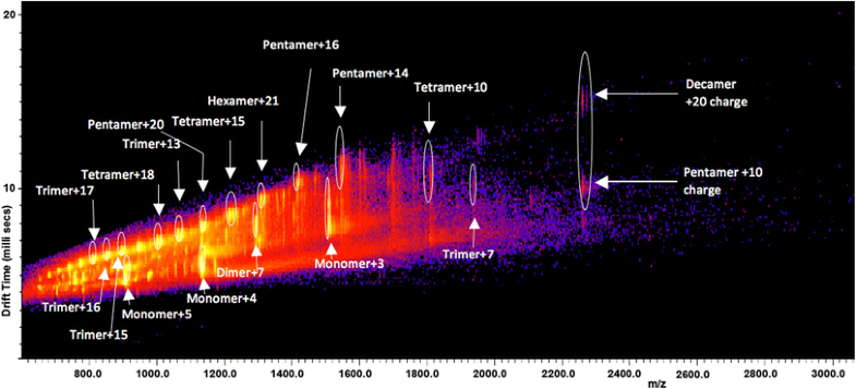 Elucidating the Aβ42 Anti-Aggregation Mechanism of Action of ...