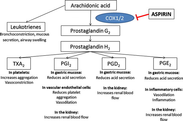 Contemporary Reflections on the Safety of Long-Term Aspirin Treatment ...