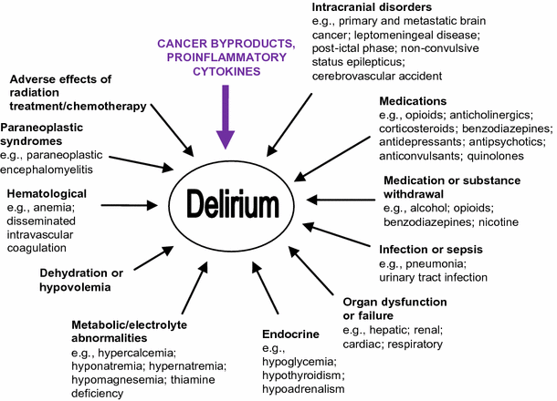 Clinical Assessment and Management of Delirium in the Palliative Care ...