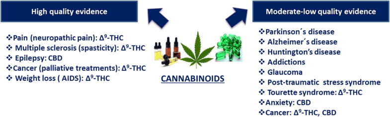 Medical Use of Cannabinoids | SpringerLink