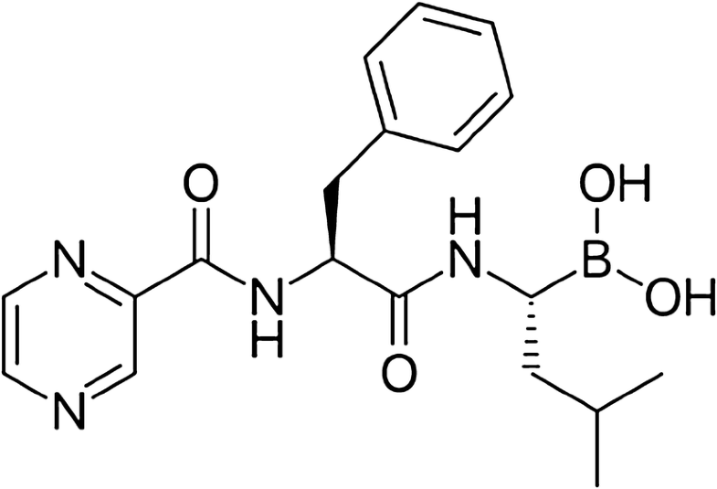 Bortezomib for the Treatment of Hematologic Malignancies: 15 Years ...