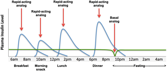 Insulin Therapy in Children and Adolescents with Type 1 Diabetes ...