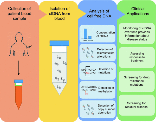 Role of Circulating Cell-Free DNA in Cancers | SpringerLink