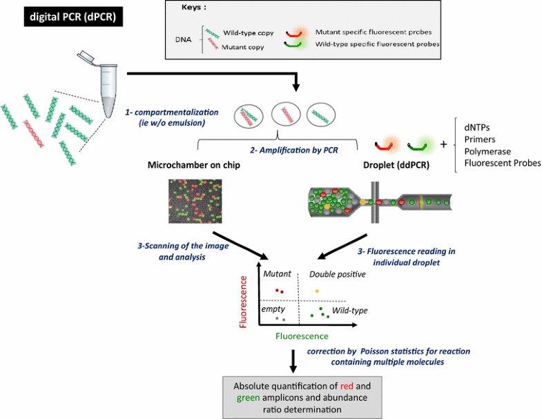 The Role of BEAMing and Digital PCR for Multiplexed Analysis in Molecular Oncology in the Era of ...