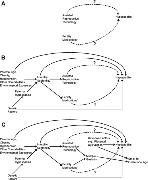 Hypospadias: One Defect, Multiple Causes, Acting Through Shared ...