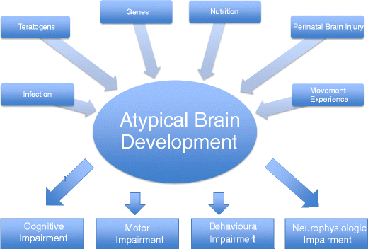 The Concept of Atypical Brain Development in Developmental Coordination ...
