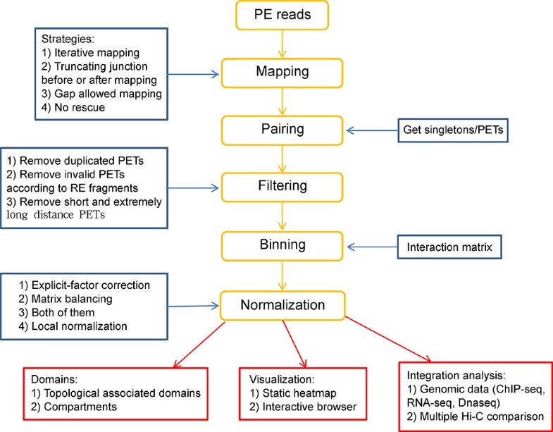 Computational tools for Hi-C data analysis | SpringerLink
