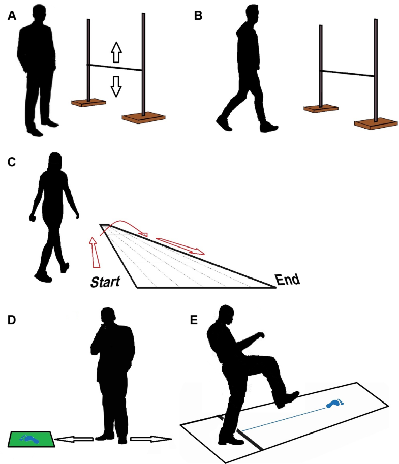 Consistency and test–retest reliability of stepping tests designed to ...