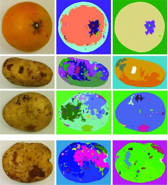 An image segmentation approach for fruit defect detection using k-means clustering and graph ...