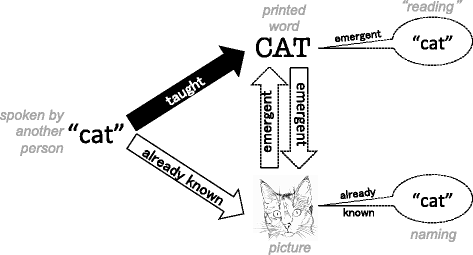 Editorial: What Sidman Did -- Historical and Contemporary Significance ...