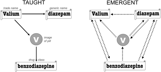 Editorial: What Sidman Did -- Historical and Contemporary Significance ...