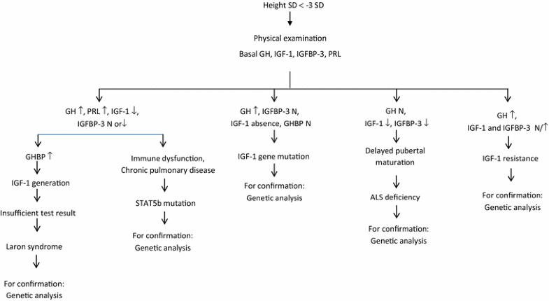 Growth hormone insensitivity: diagnostic and therapeutic approaches ...