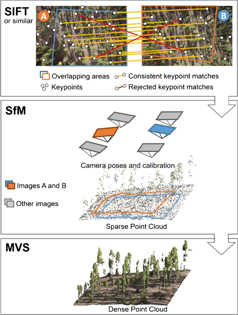 Structure from Motion Photogrammetry in Forestry: a Review | SpringerLink