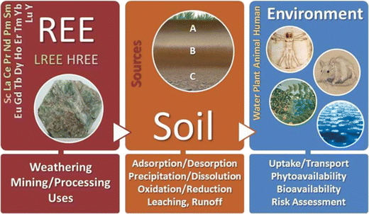 Rare Earth Elements in the Soil Environment | SpringerLink