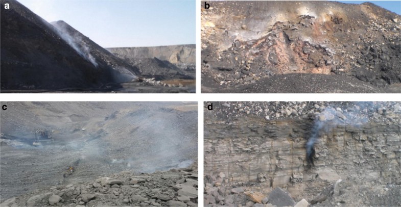 Spontaneous combustion liability of coal and coal-shale: a review of ...