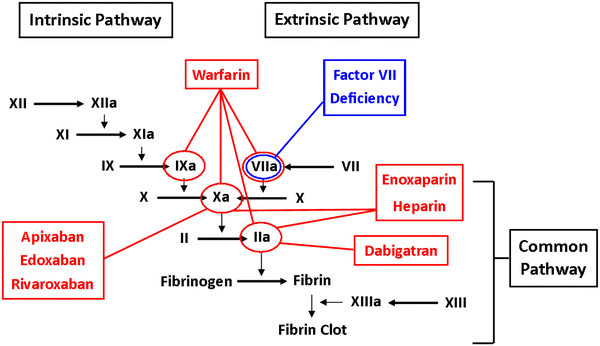 Anticoagulation Therapy Considerations in Factor VII Deficiency ...