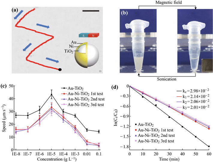 Dye-Enhanced Self-Electrophoretic Propulsion of Light-Driven TiO2–Au ...