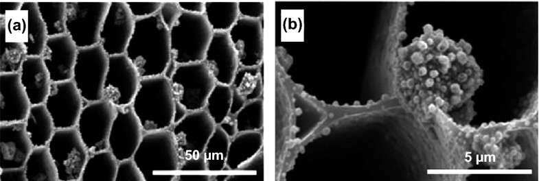 Hierarchical Metal–Organic Frameworks with Macroporosity: Synthesis ...