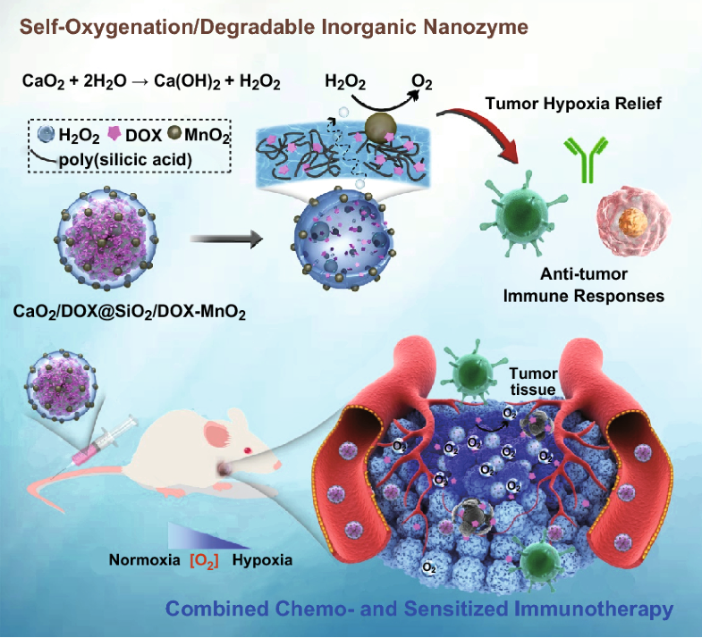 Inorganic Nanozyme with Combined Self-Oxygenation/Degradable ...