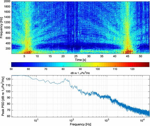 Underwater Acoustic Signatures of Recreational Swimmers, Divers ...