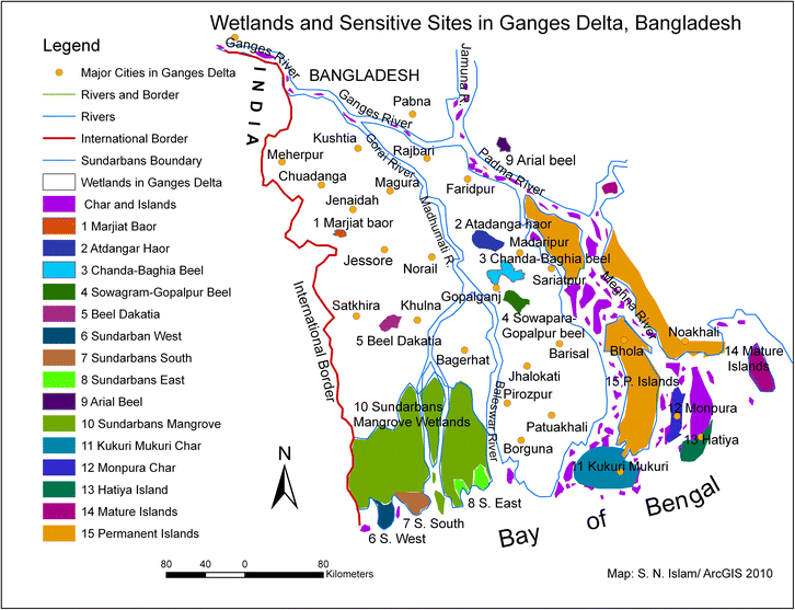 Deltaic floodplains development and wetland ecosystems management in ...