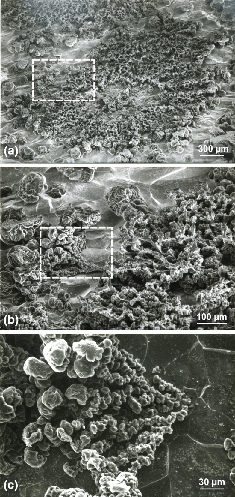 Chunky Graphite in Ferritic Spheroidal Graphite Cast Iron: Formation ...